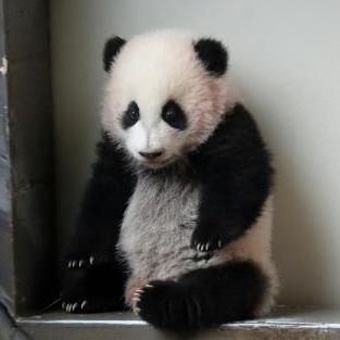 益达饭后来两颗 