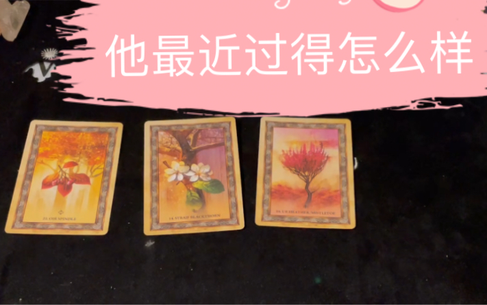 【滴滴塔罗】他最近过得怎么样 他想对你说的话 他最近在干嘛