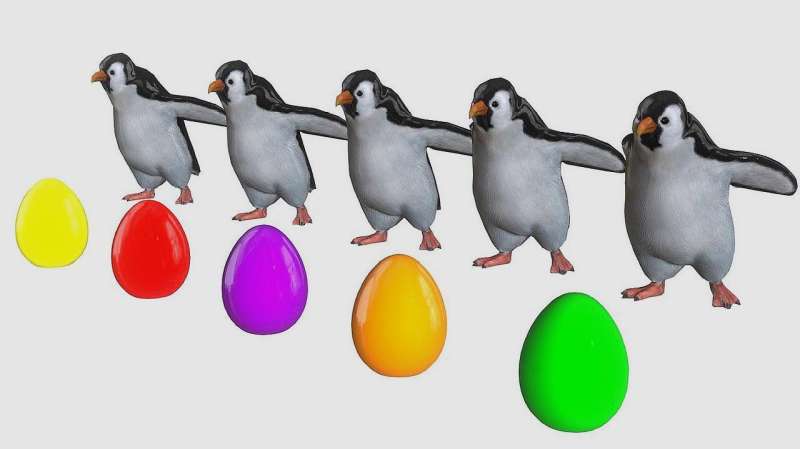 儿童卡通片:企鹅妈妈品尝各种蔬菜生出了小宝宝