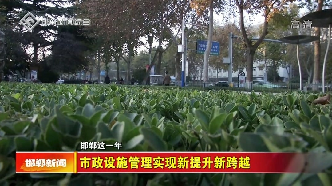 市政设施管理实现新提升新跨越
