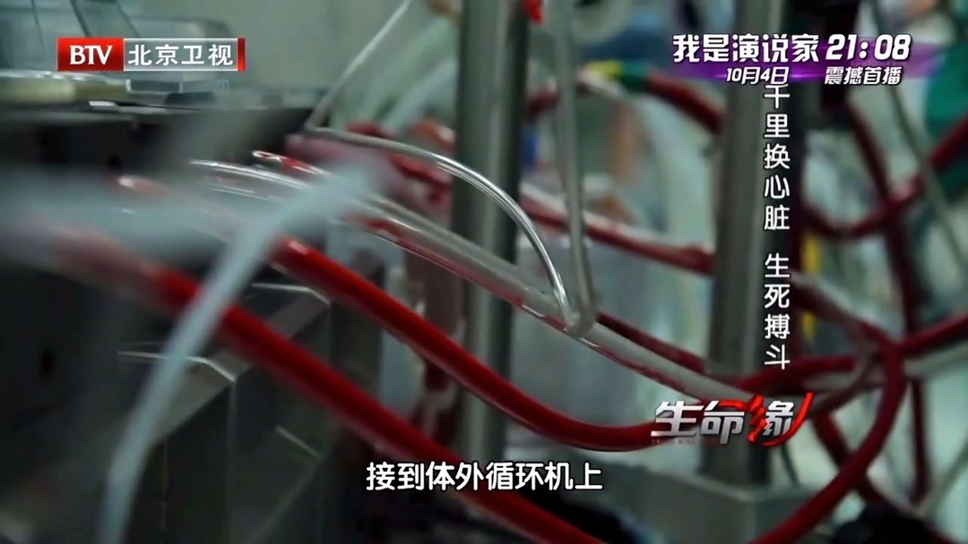 生命缘:在这个阶段,如果出现意外,将会造成植物人或者脑死亡!