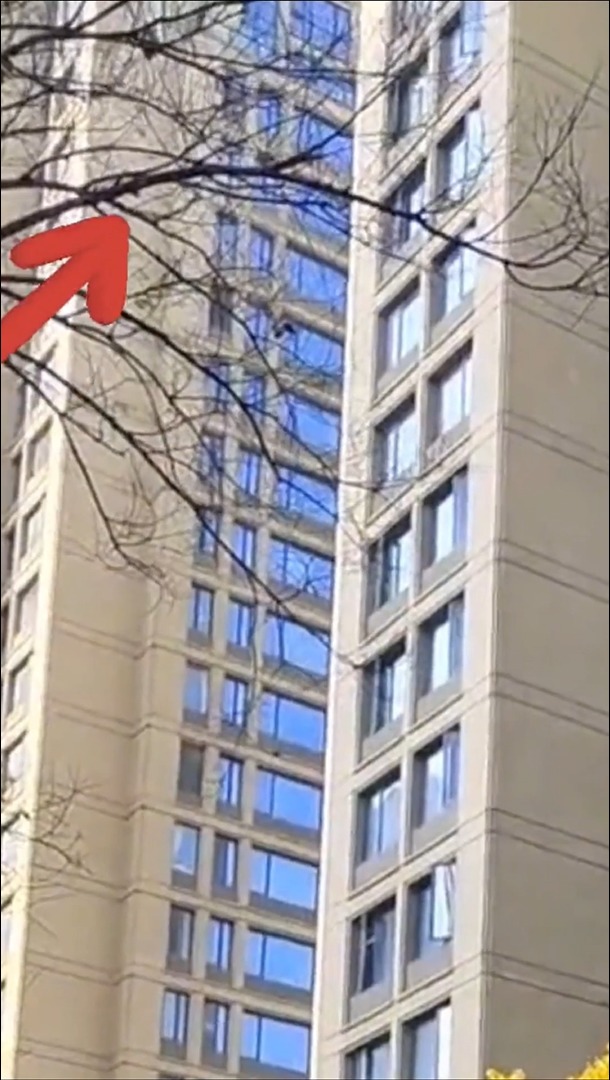 要不是我亲眼所见我是万万不敢相信!爸爸给儿子做示范没想到糗出大了