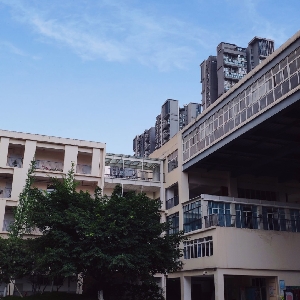 成都二十中花照校区 