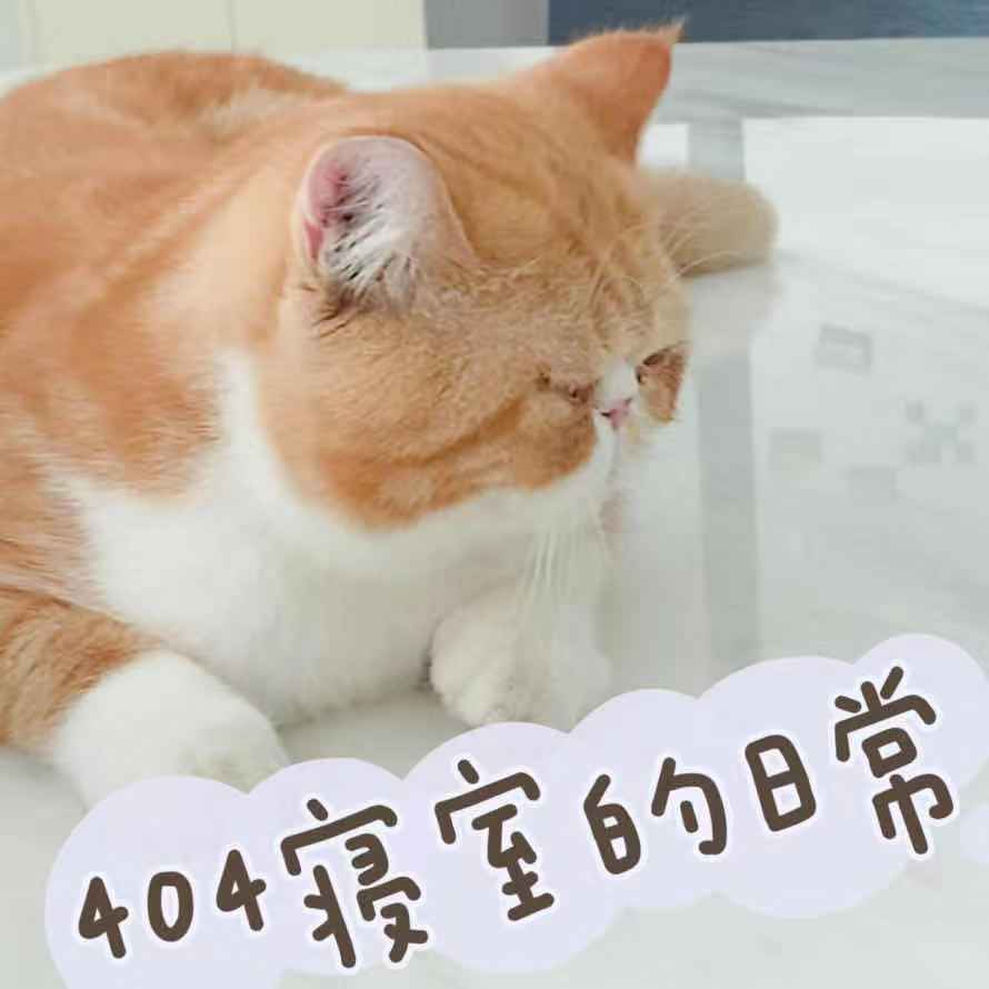 404寝室的日常 