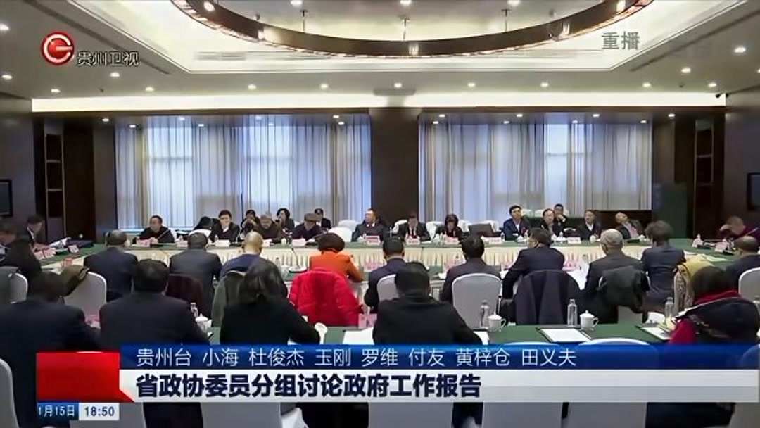 省政协委员 分组讨论  政府工作报告