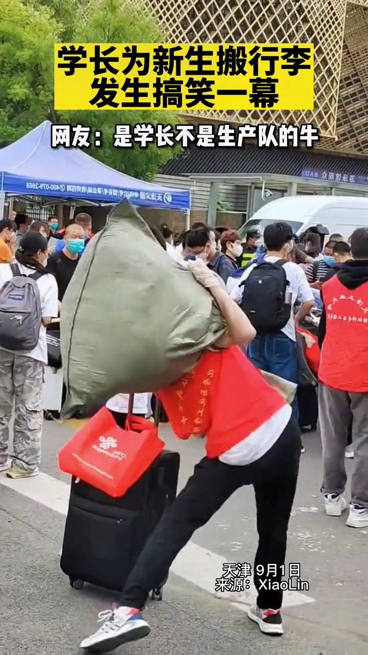 大学学长为新生搬行李,发生的一幕!网友:是学长不是生产队的牛