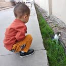 地矿科技杨为先 