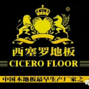 A西塞罗地板 