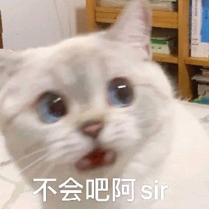安和桥下桥和安 
