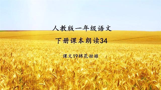 课文十九 棉花姑娘 部编版小学一年级下册语文课本朗读 课文朗诵