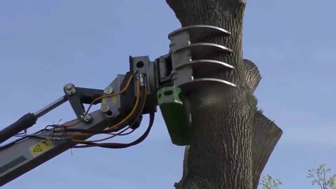 住宅区砍伐树木怎么解决,看老司机如何借助机器巧妙操作!