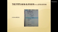 THE PIPS人事档案管理讲解视频