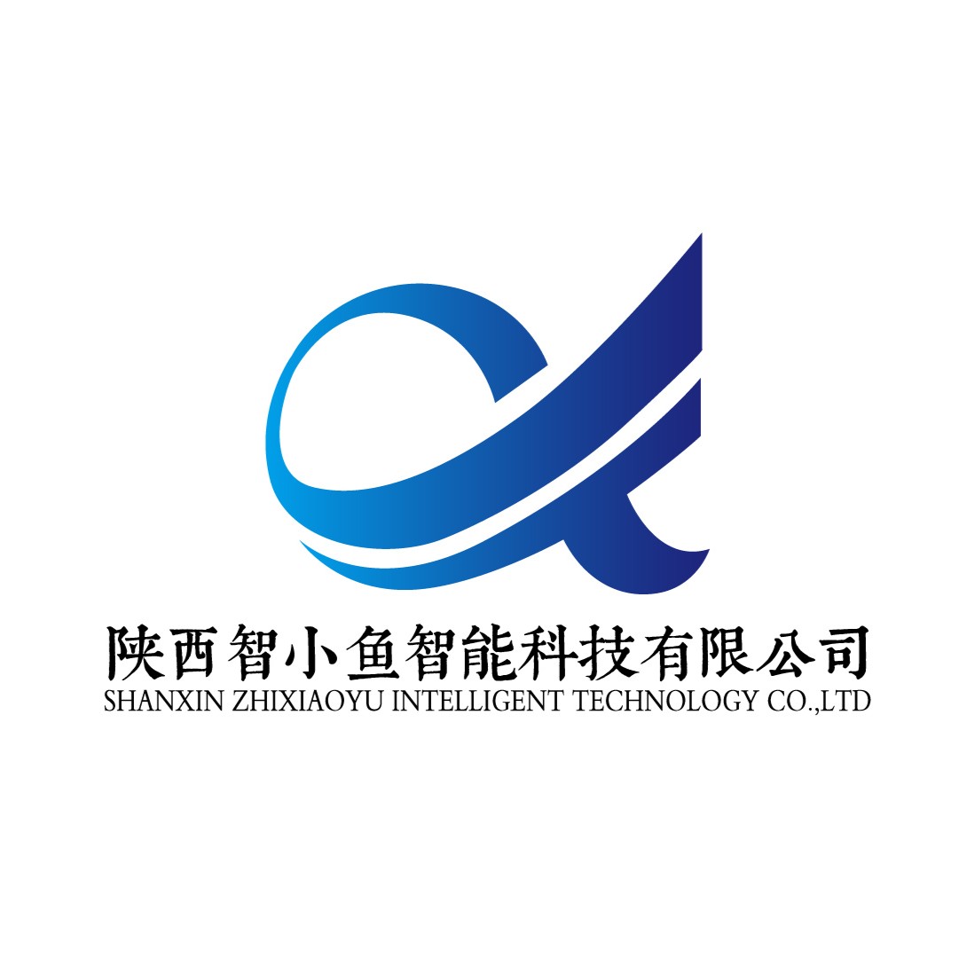 陕西智小鱼科技 
