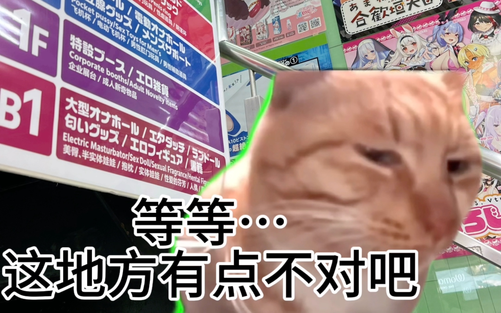【猫meme】真实存在的日本撞人族…?买谷误入巨大的R18店…以及...