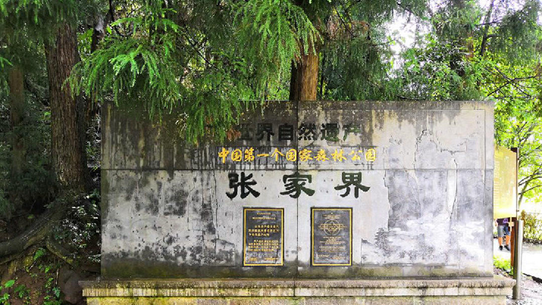 2019年游张家界,国家森林公园
