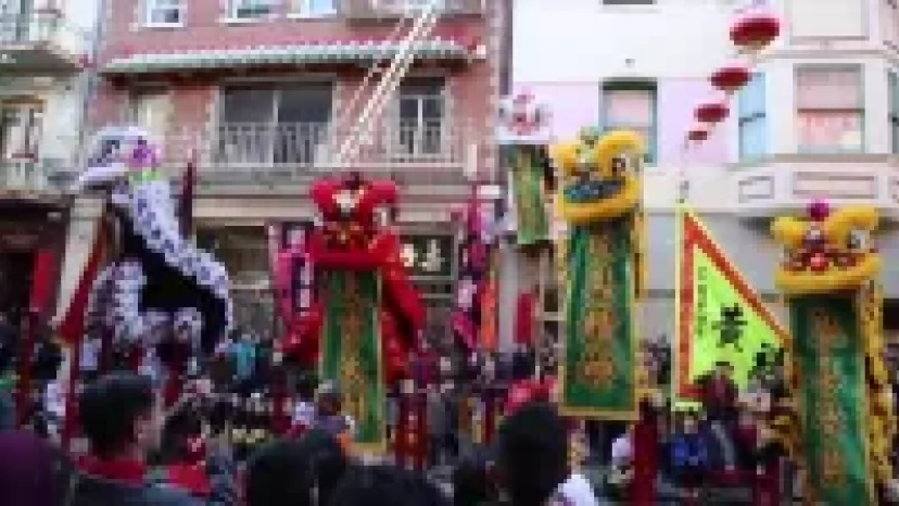 2019海外华人舞龙舞狮日,精彩舞狮表演