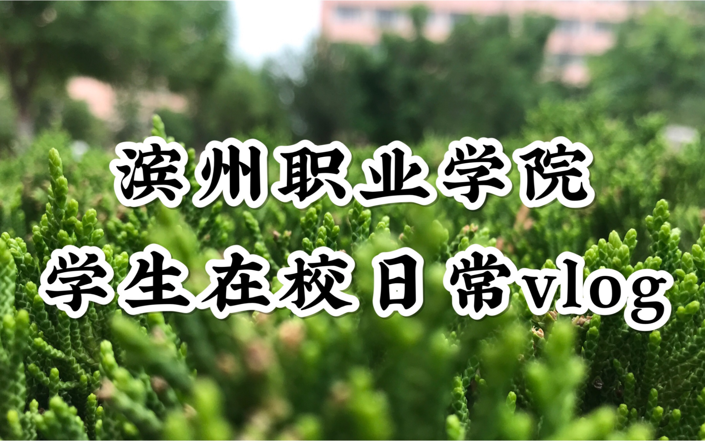 【滨州职业学院】学生在校日常vlog开学后我们的学习时间也就1个...