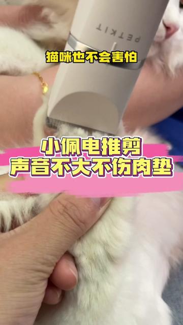 圆角打磨推头不伤皮肤!新手铲shi官也能轻松上手萌宠好物刷毛器