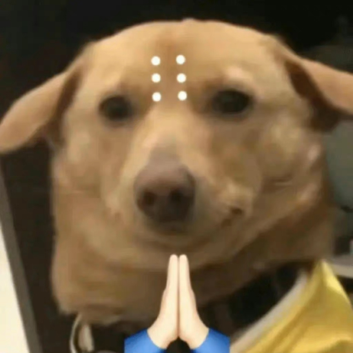 王大旋子 