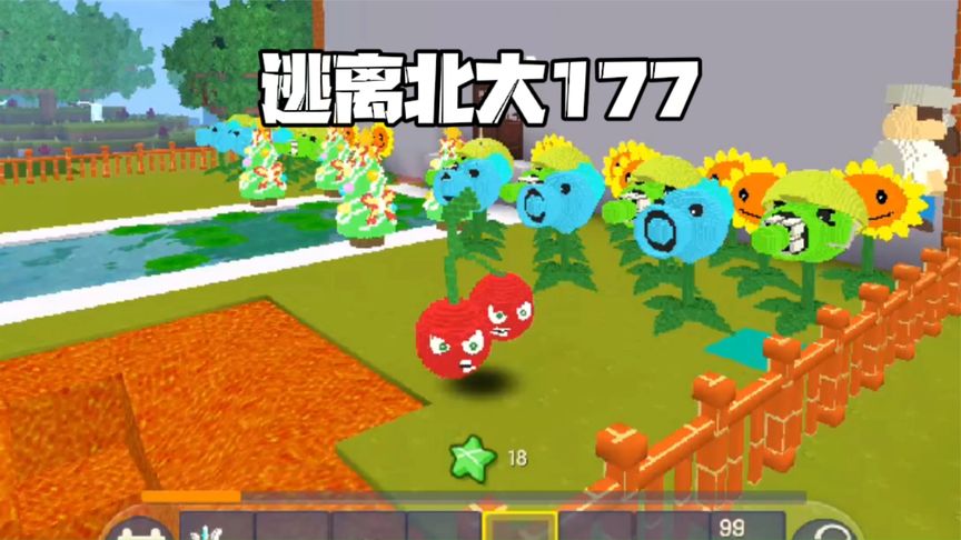 迷你世界:逃离北大177马上我变成樱桃炸弹追着北大跑