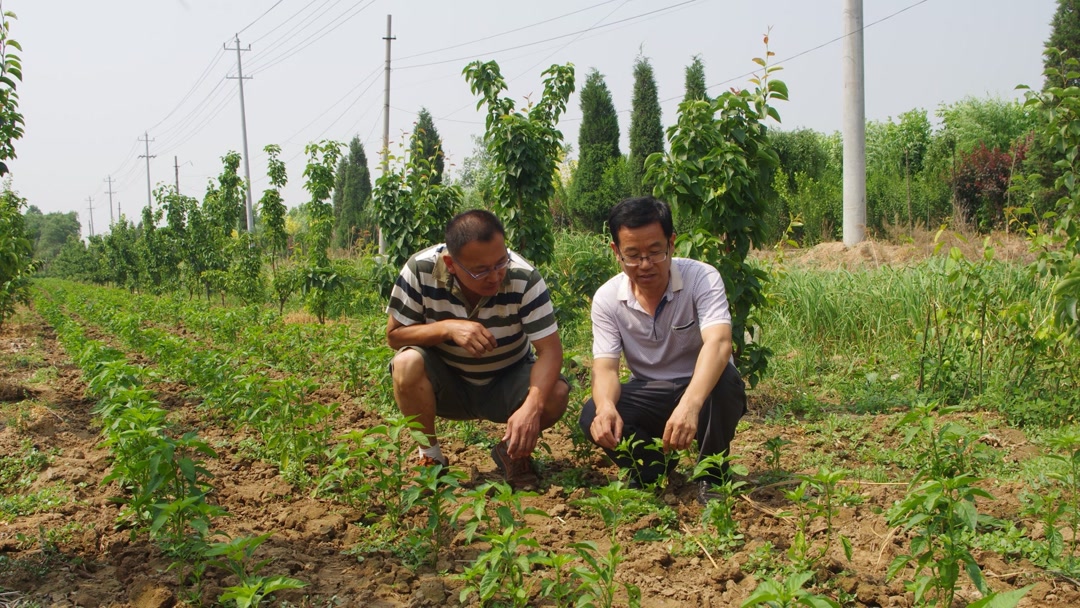 1年暴增600万,到底什么是职业农民,农业又该如何吸引年轻人?