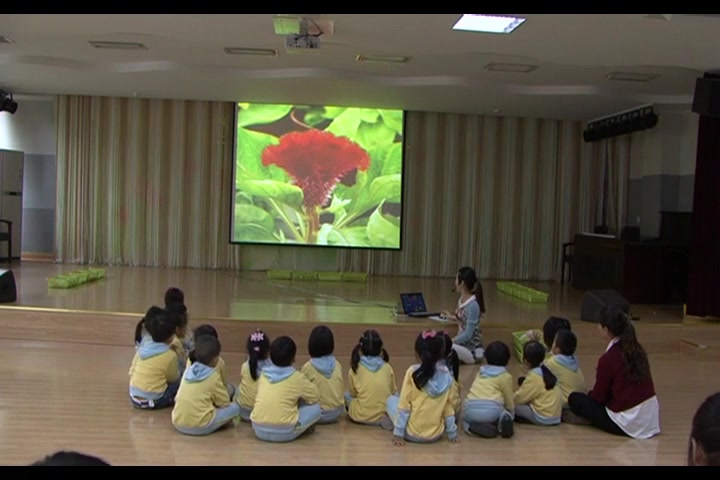 幼儿园大班美术《秋天的花园》课堂实录优质课视频公开课教学视频
