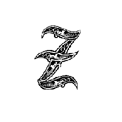 Zet游戏玩家 