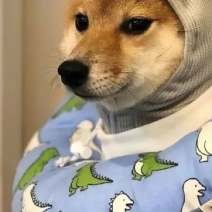 祁书SAMA 