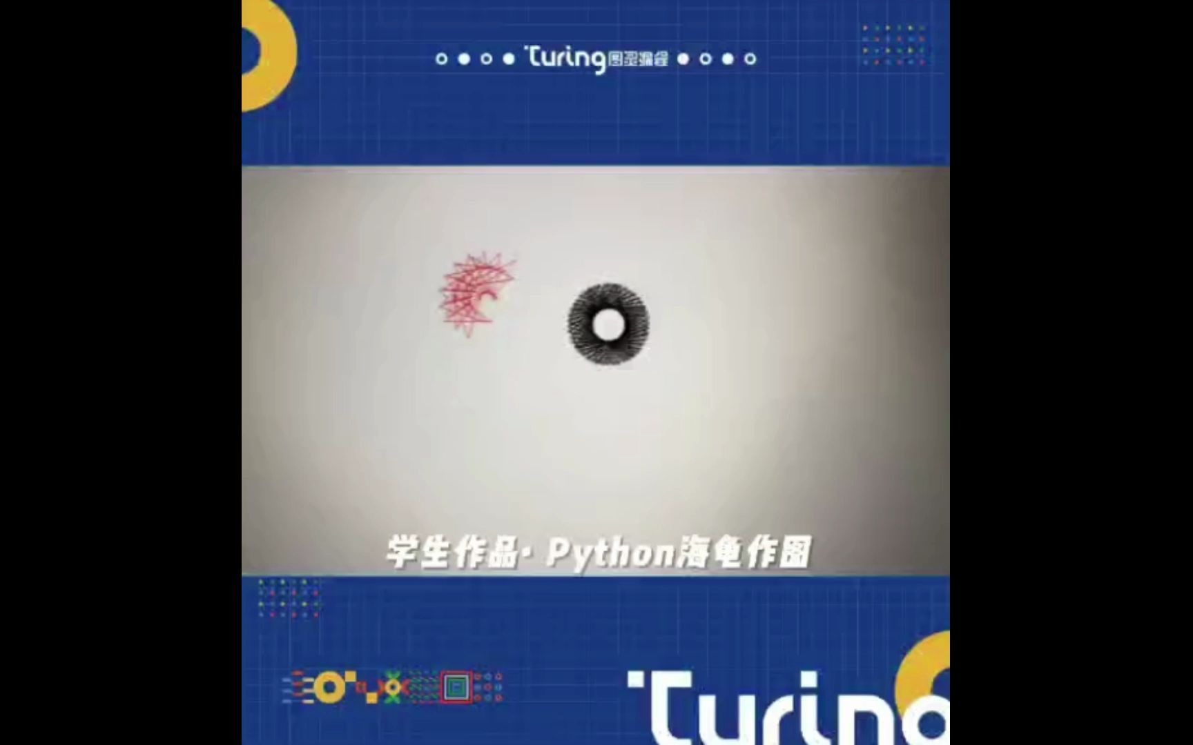 Python海龟作图学生作品呈现效果