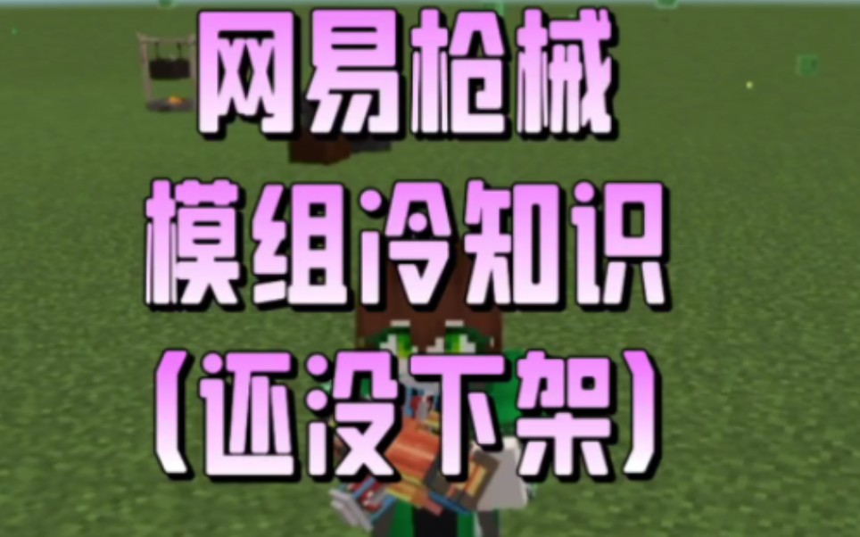 我的世界枪械模组(还没下架)