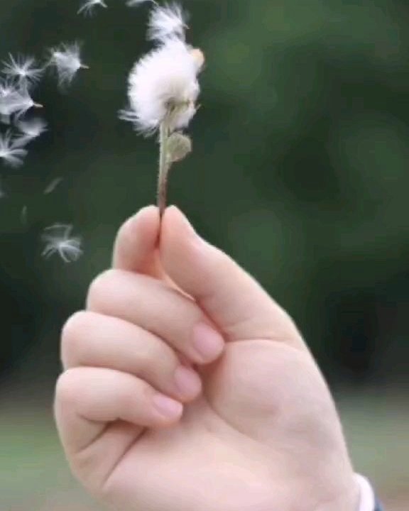 手机里的风景美照做成#卡点视频# ,配上这首BGM很治愈 原创教程来自...