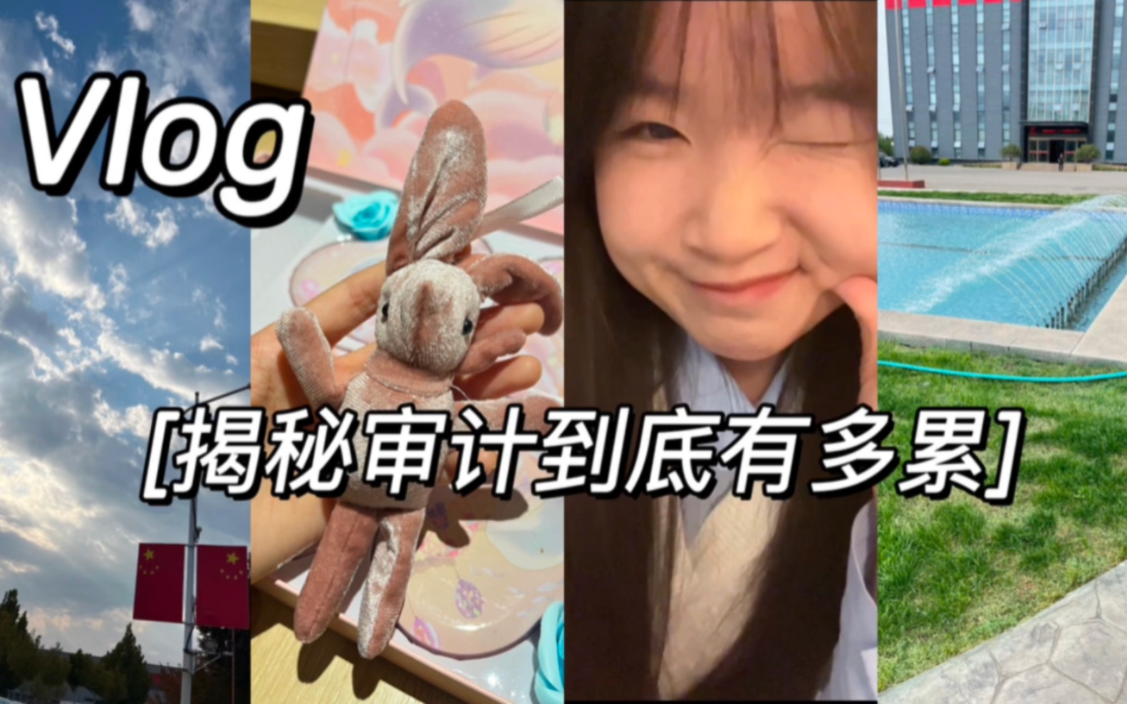 Vlog|八大审计|揭秘审计到底有多累