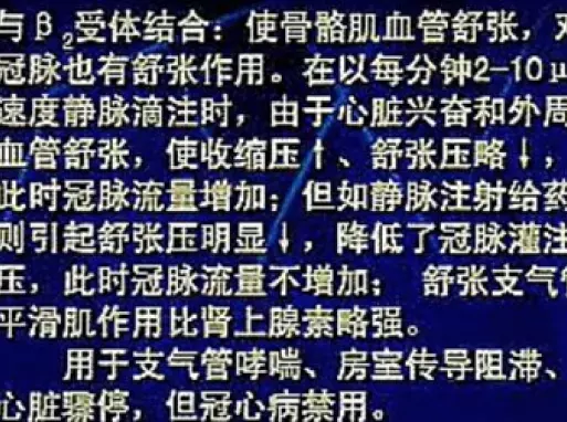 46 第十章 神经系统的功能 (4)