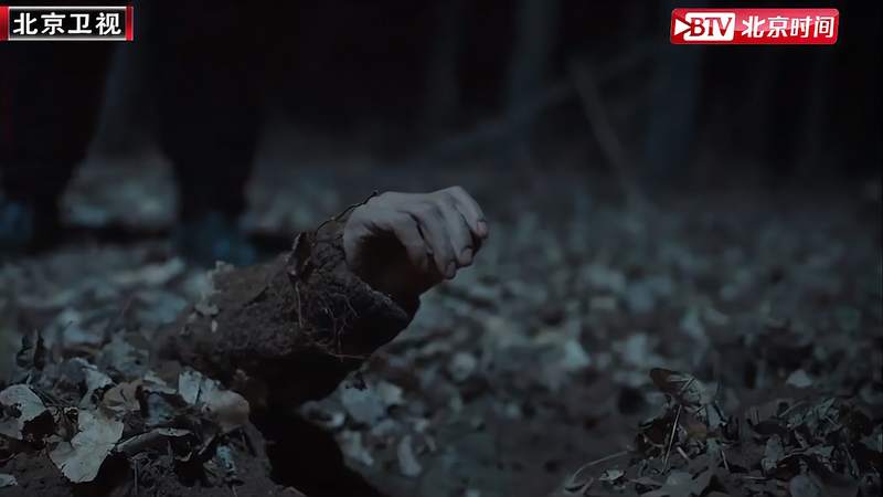 大哥身上疑点重重,也解释不清,事情的真相竟然是这样的丨大戏