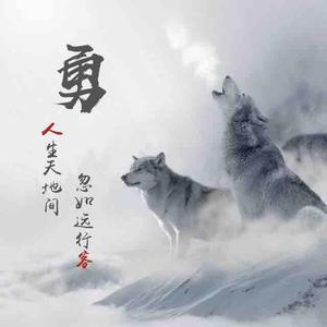 动画搞笑段子 