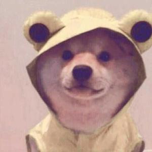笋野in广州 