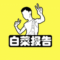 白菜报告 