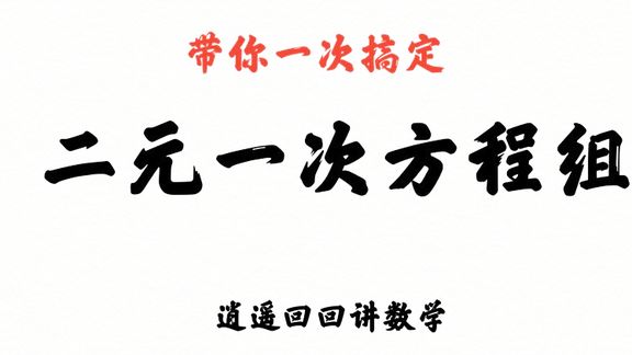 二元一次方程组解题技巧,逍遥老师告诉你985学霸是怎么做的?