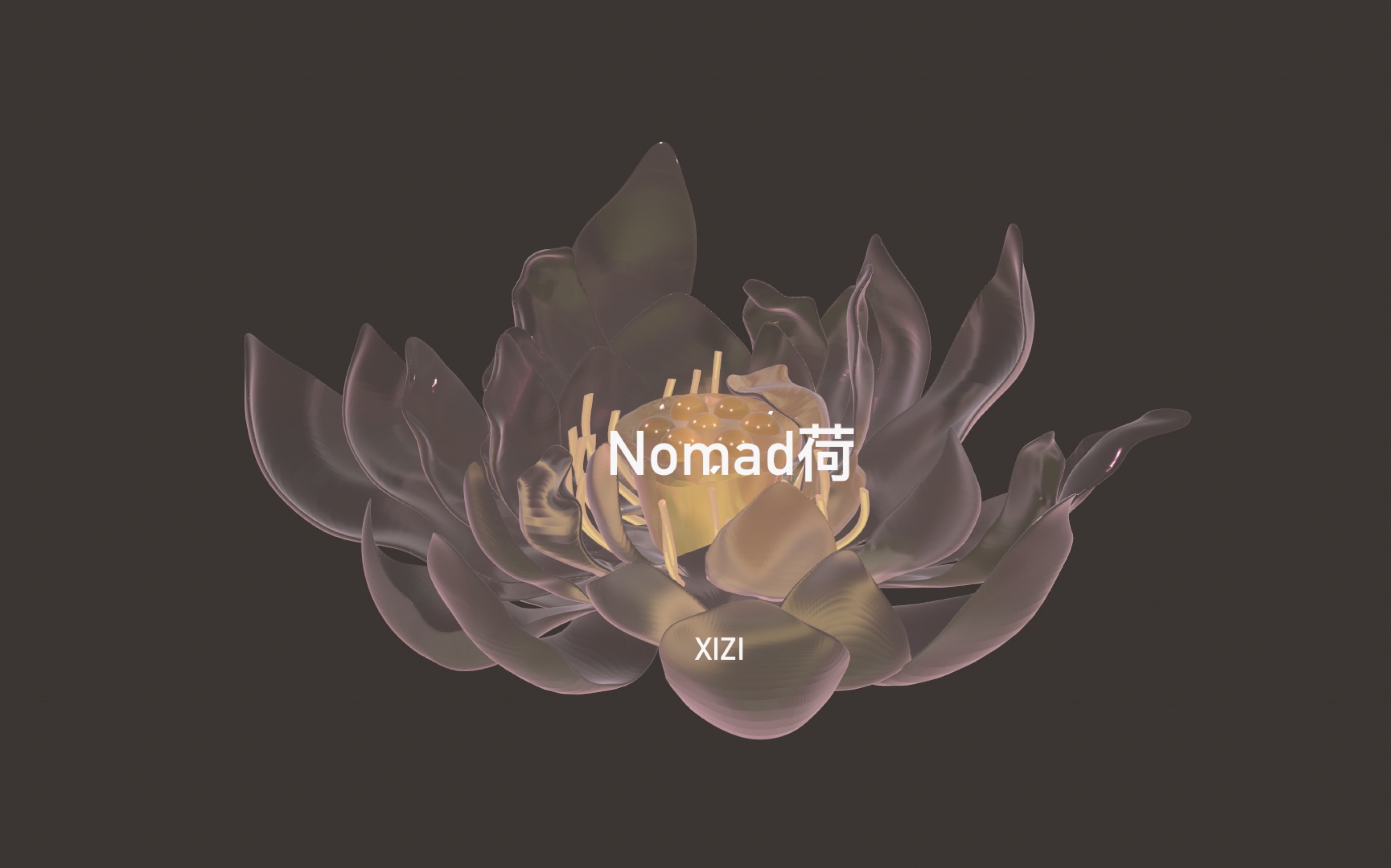 第一次用NOMAD 荷花