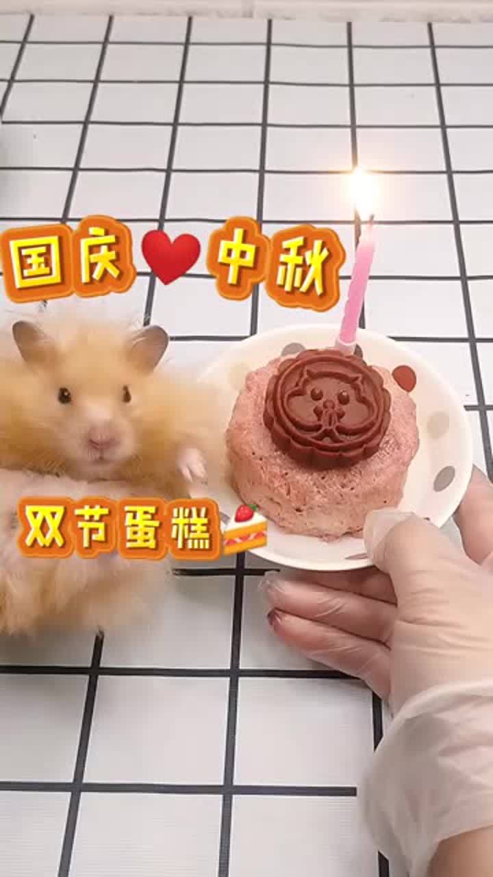 国庆中秋双节做个仓鼠小蛋糕吧!铲屎官的假期 宠物达人创作营 宠物天团