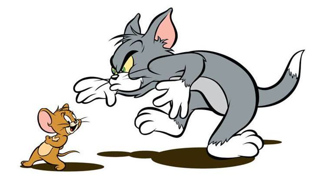 猫和老鼠-猫捉老鼠搞笑