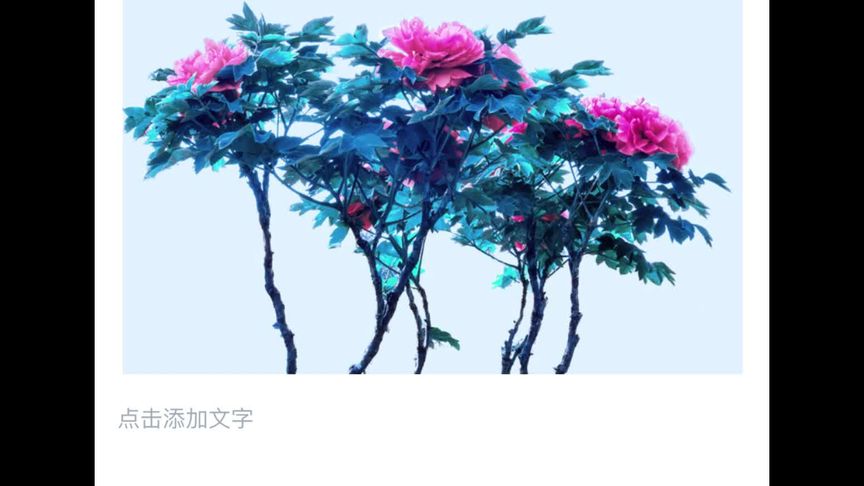 11.【选择工具的使用】#修图软件 #ps教程 #干货