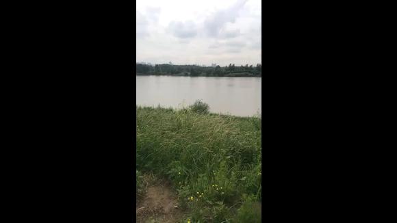 夏季的哈尔滨大剧院漂亮不?