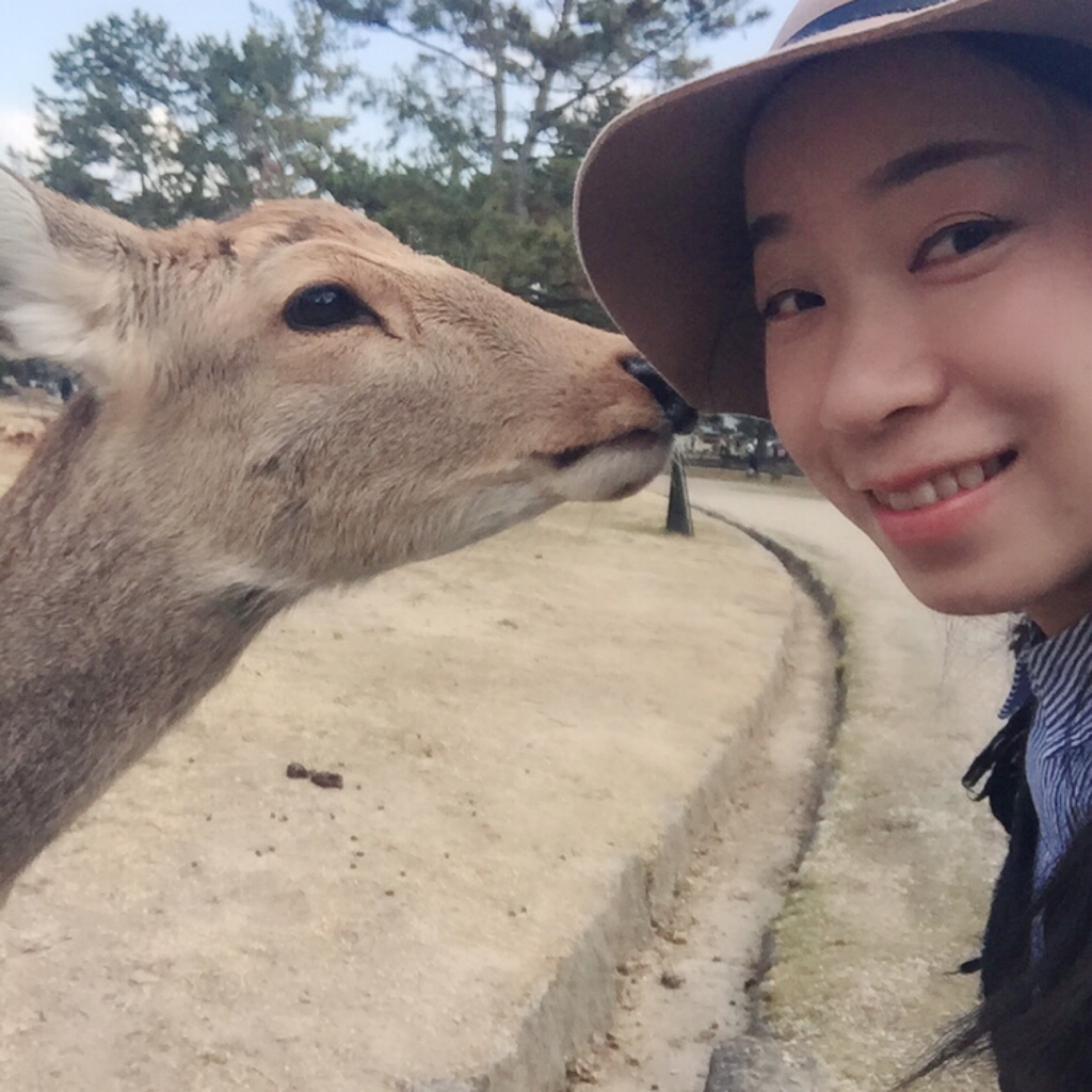 楚乌也书画教学 