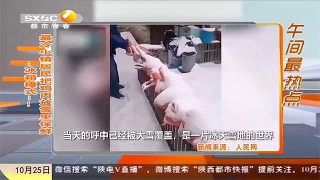中国最冷小镇开启"冰箱模式",居民雪地里冻鸡留着过年吃|都市快报