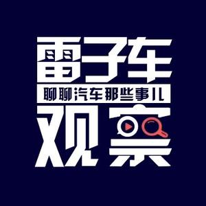 雷子车观察 