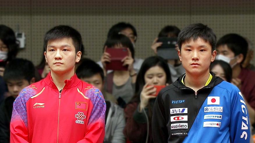 樊振东连续“三连杀”打懵张本智和,日本神童慌了神连丢2分!