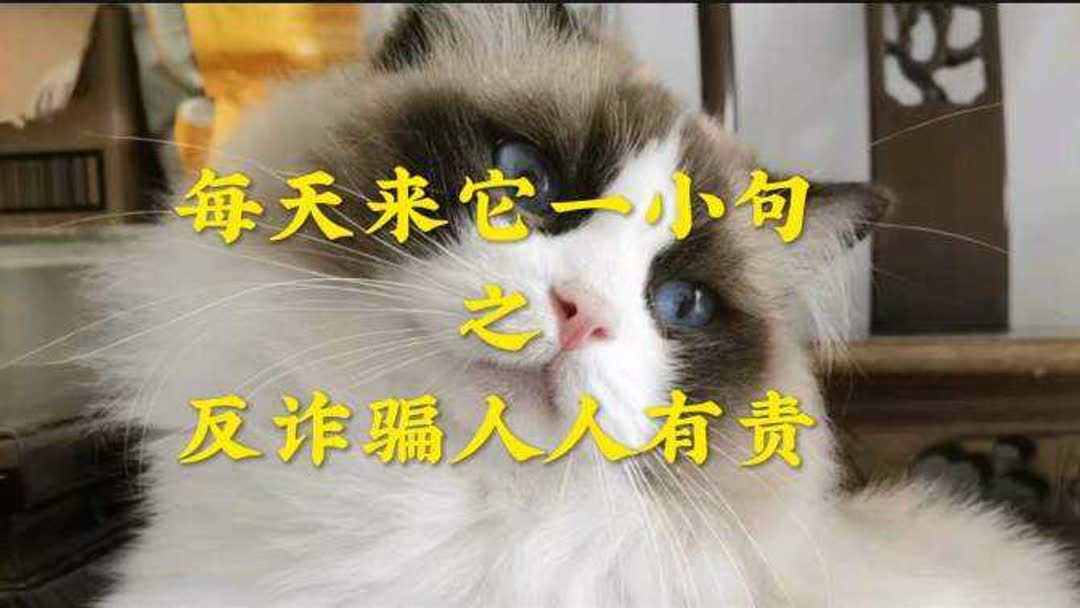 反诈骗人人有责,你下载国家反诈中心app了吗