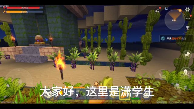 迷你世界小飞鼠:这期我的小飞鼠出生了