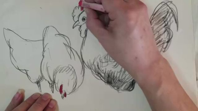 牛人画大公鸡,这样上色,简单又好看